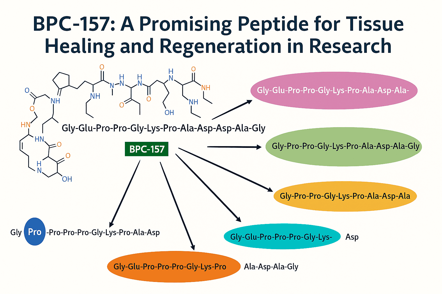 BPC-157 Peptide for Tissue Healing and Regeneration